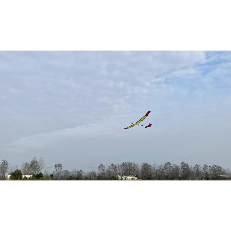 RedwingRC High Quality Gas and Electric Planes, Quad Copters, and Jets